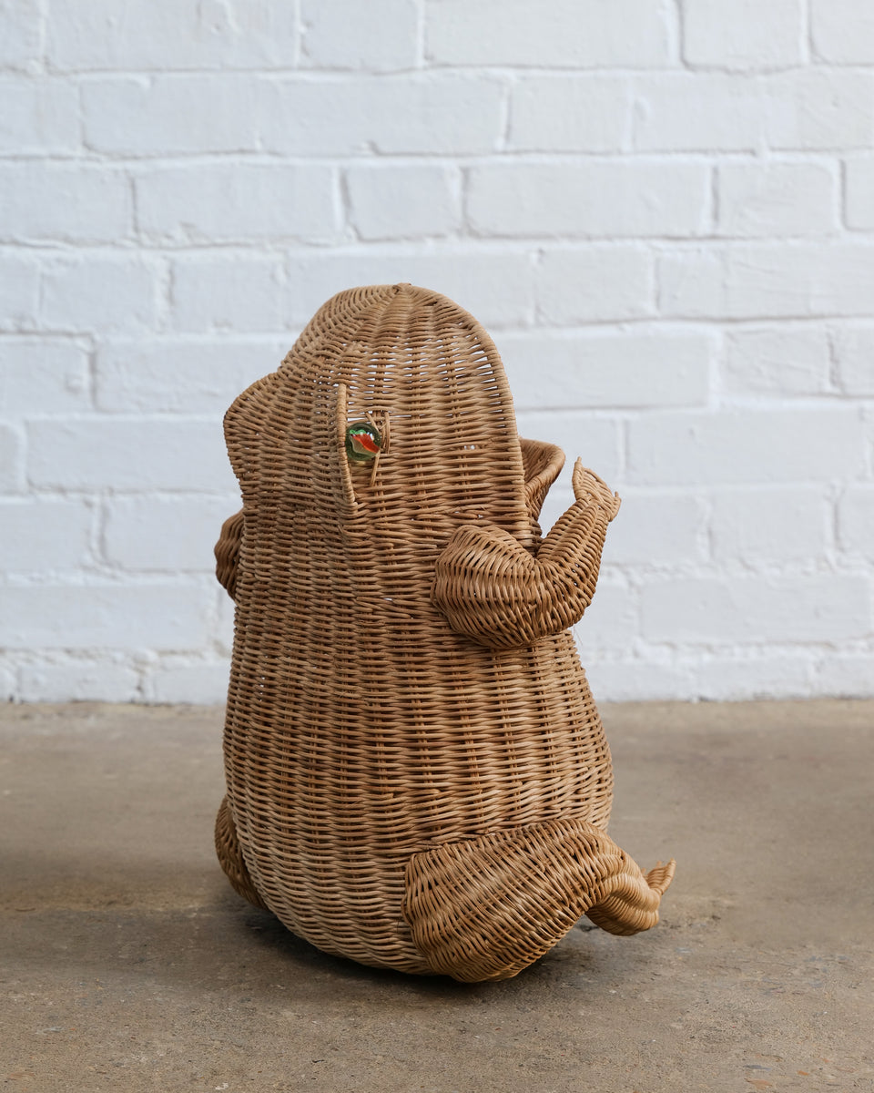 WICKER FROG STORAGE BASKET – Vantage Living